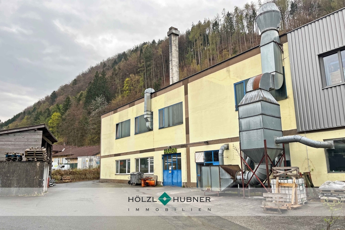 Raum für Handwerk - Vielseitige Gewerbefläche - immo.sn.at